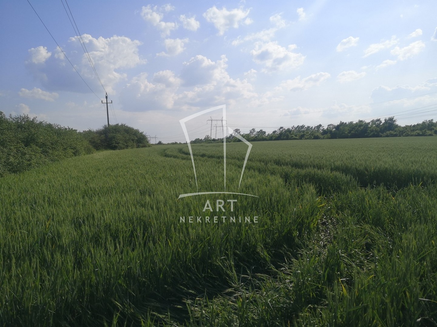 Art Nekretnine | Surčin, Petrovčić | 157.000